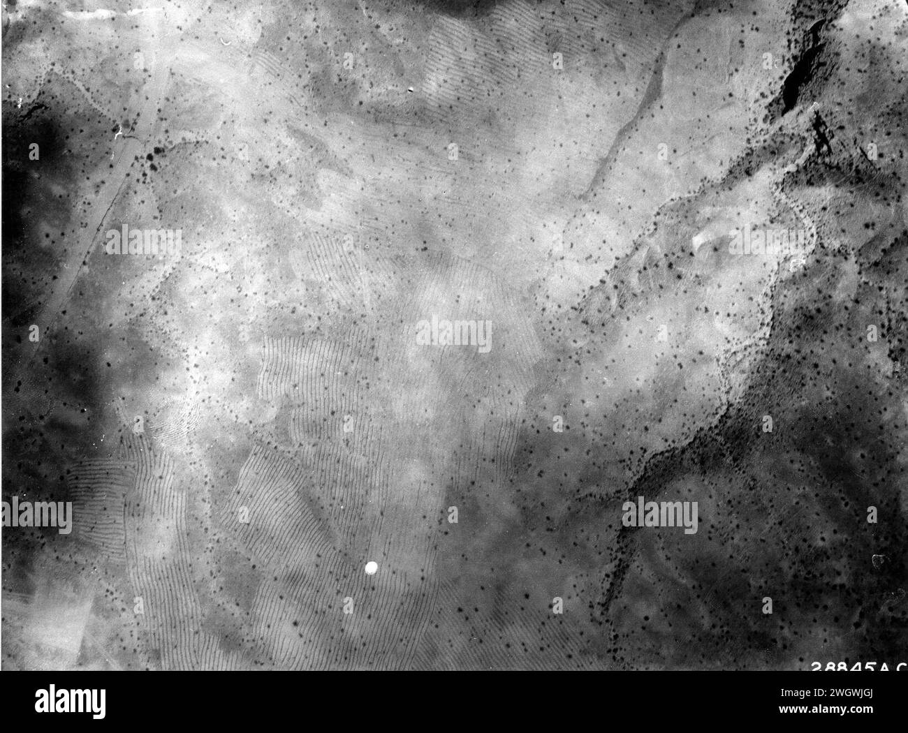 Nogales Black and White Stock Photos & Images - Alamy