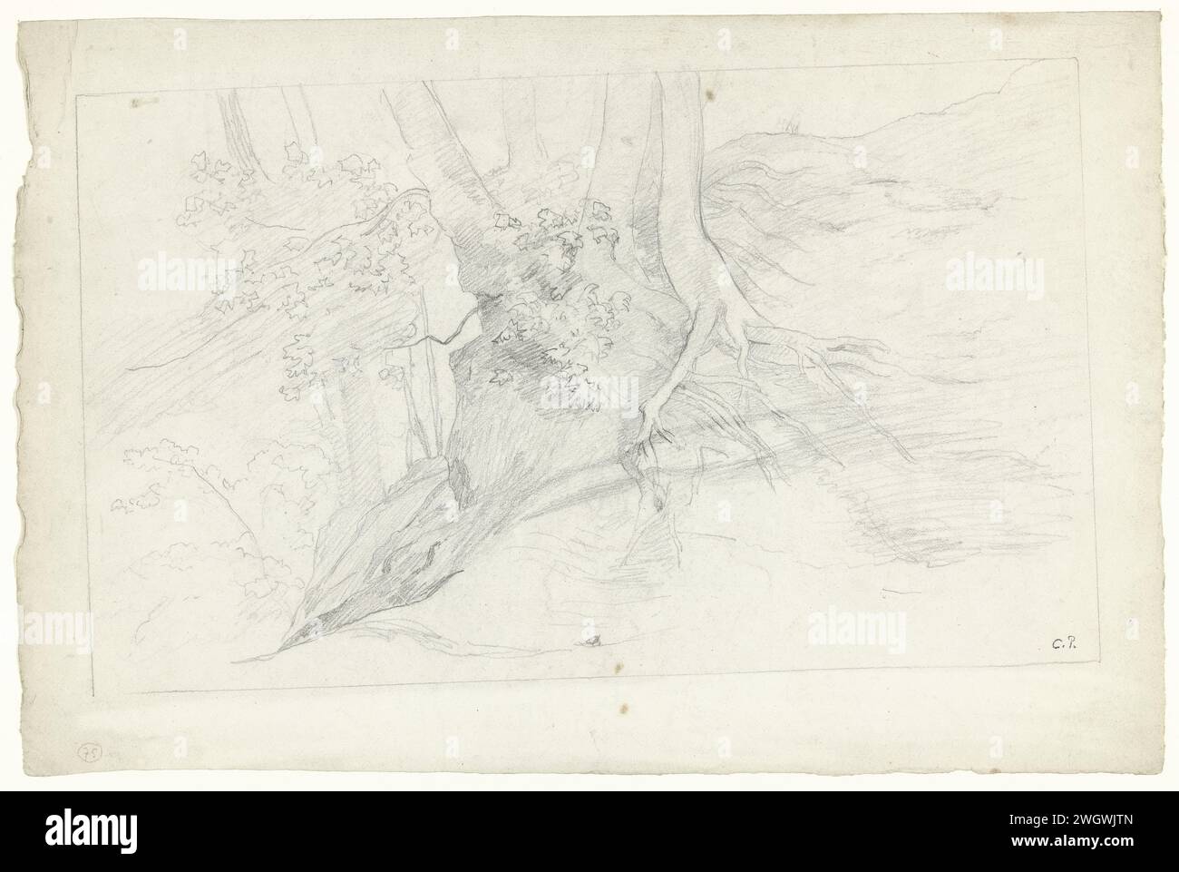 Tree group with carrots above the ground, Camille Jacob Pissarro, 1840 ...