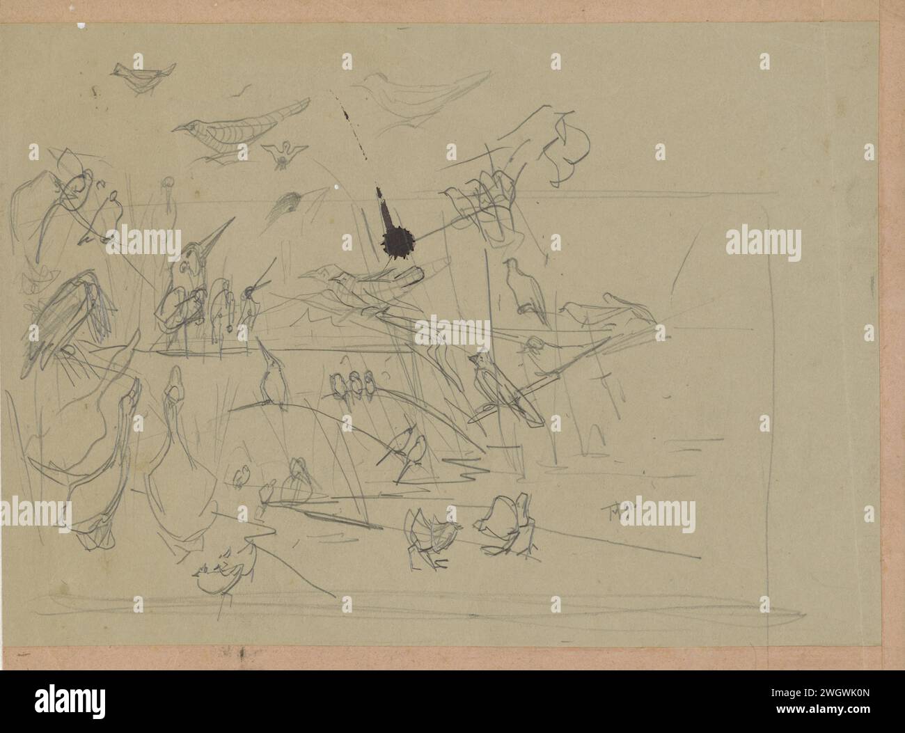 Sketch for illustration in how the birds got a king, Theo van Hoytema ...