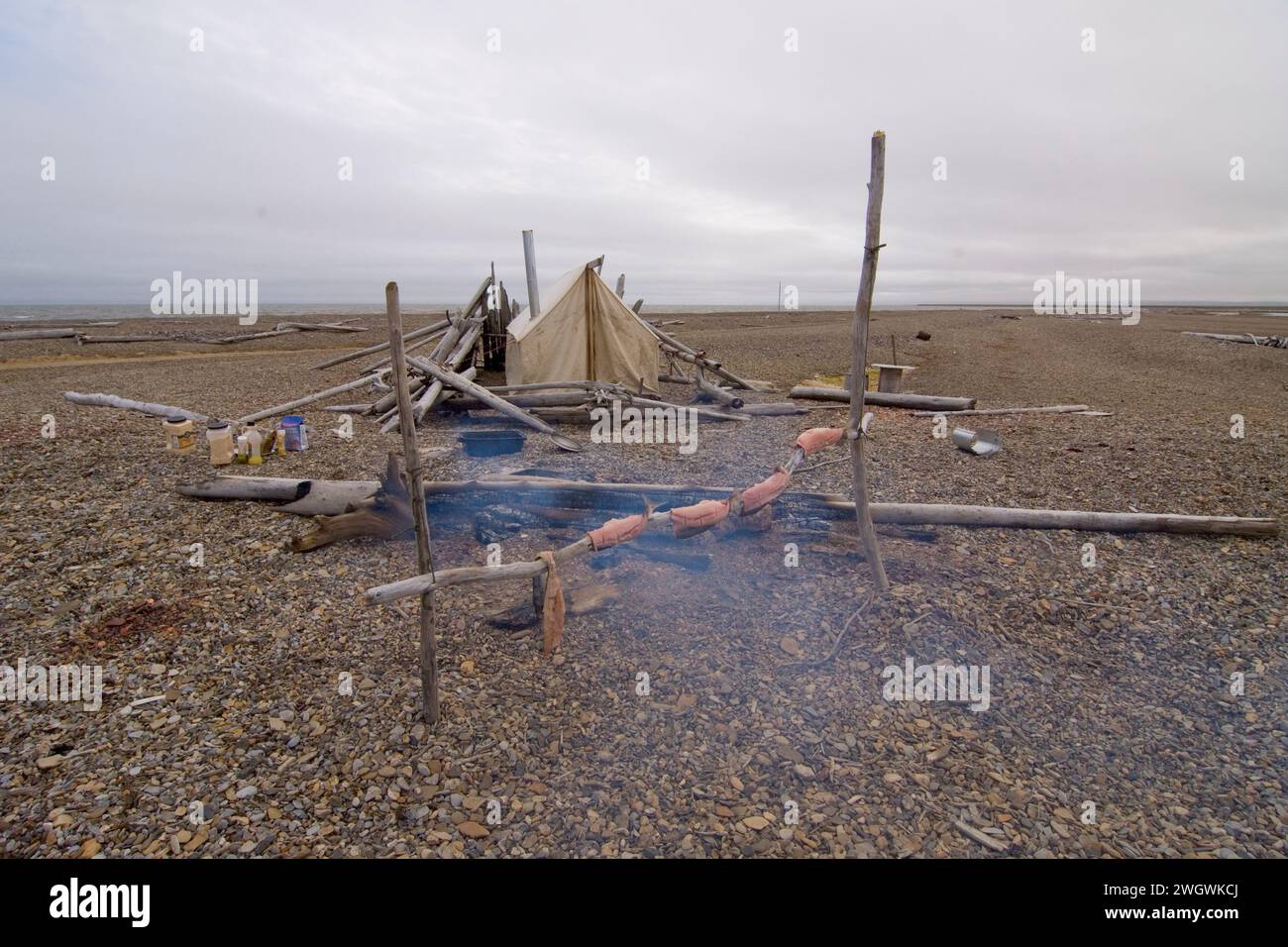 Bruce Inglangasak smoking broad whitefish Coregonus nasus at camp anwr ...