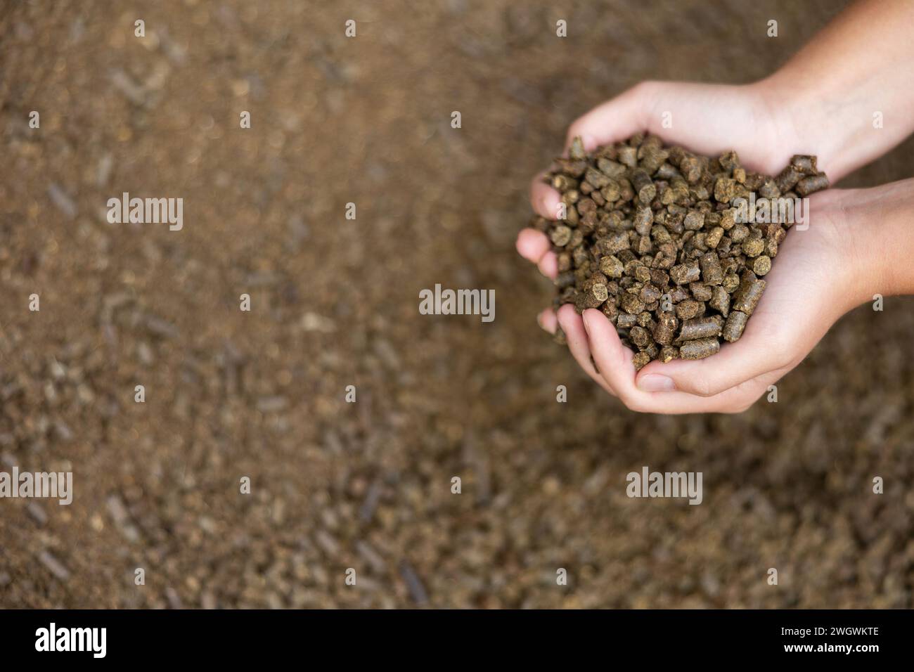 Rapeseed cake hi-res stock photography and images - Alamy