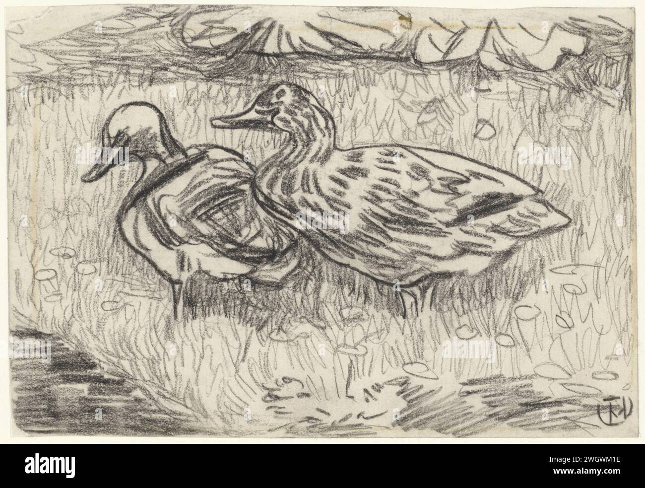 Two ducks, Theo van Hoytema, c. 1874 - c. 1917 drawing paper. chalk ...