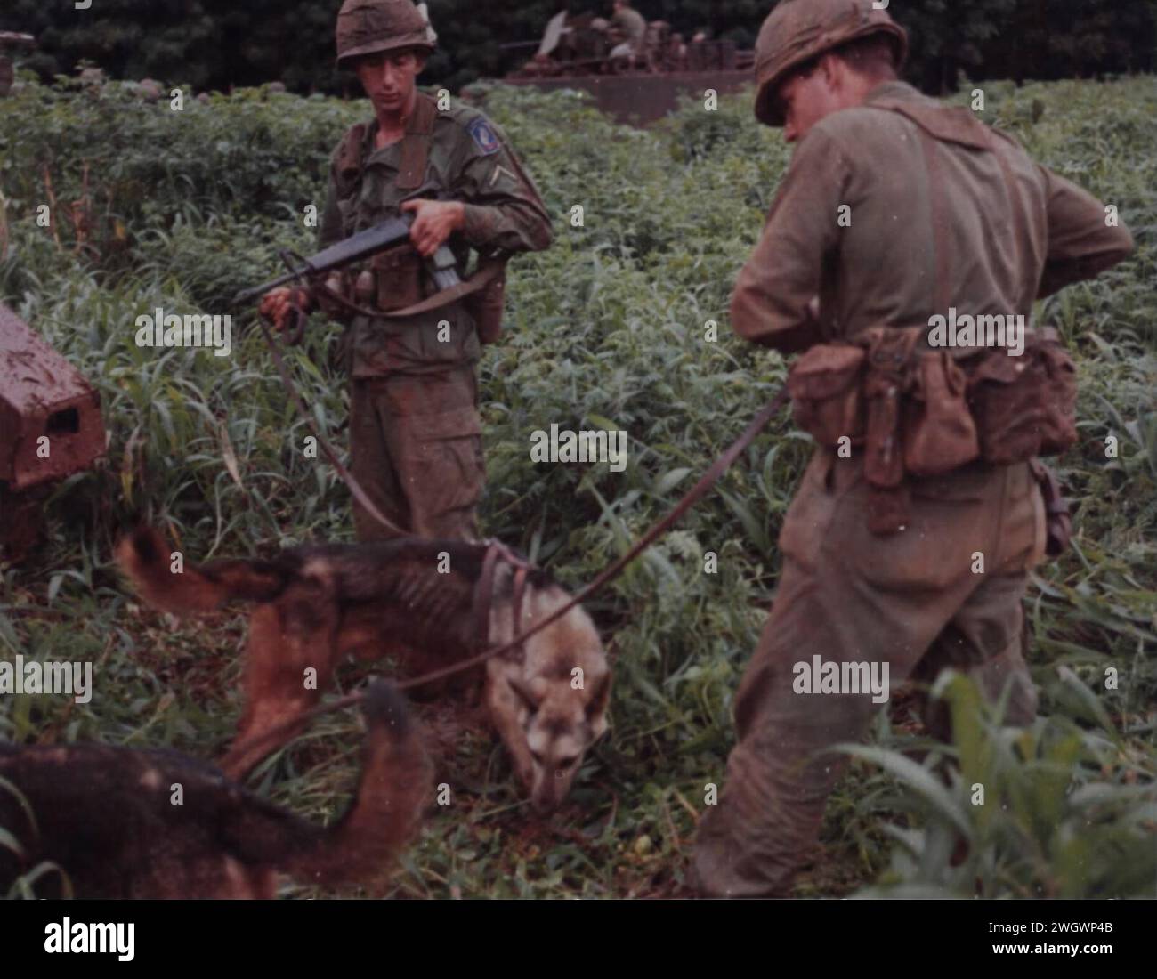 Xuan loc hi-res stock photography and images - Alamy