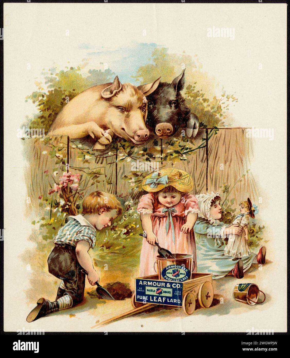 Armour me at co hi-res stock photography and images - Alamy