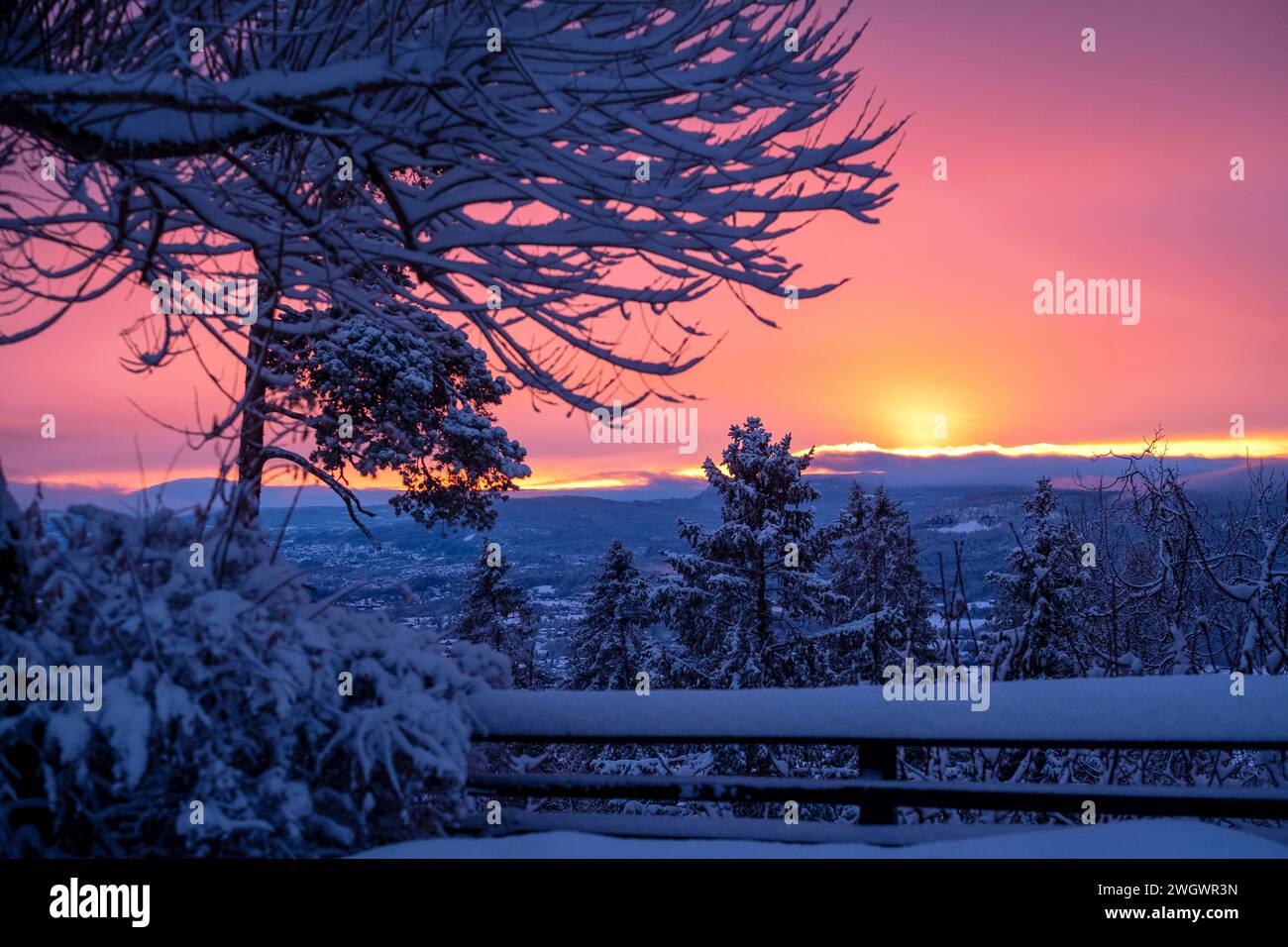 Bright winter colours hi-res stock photography and images - Alamy