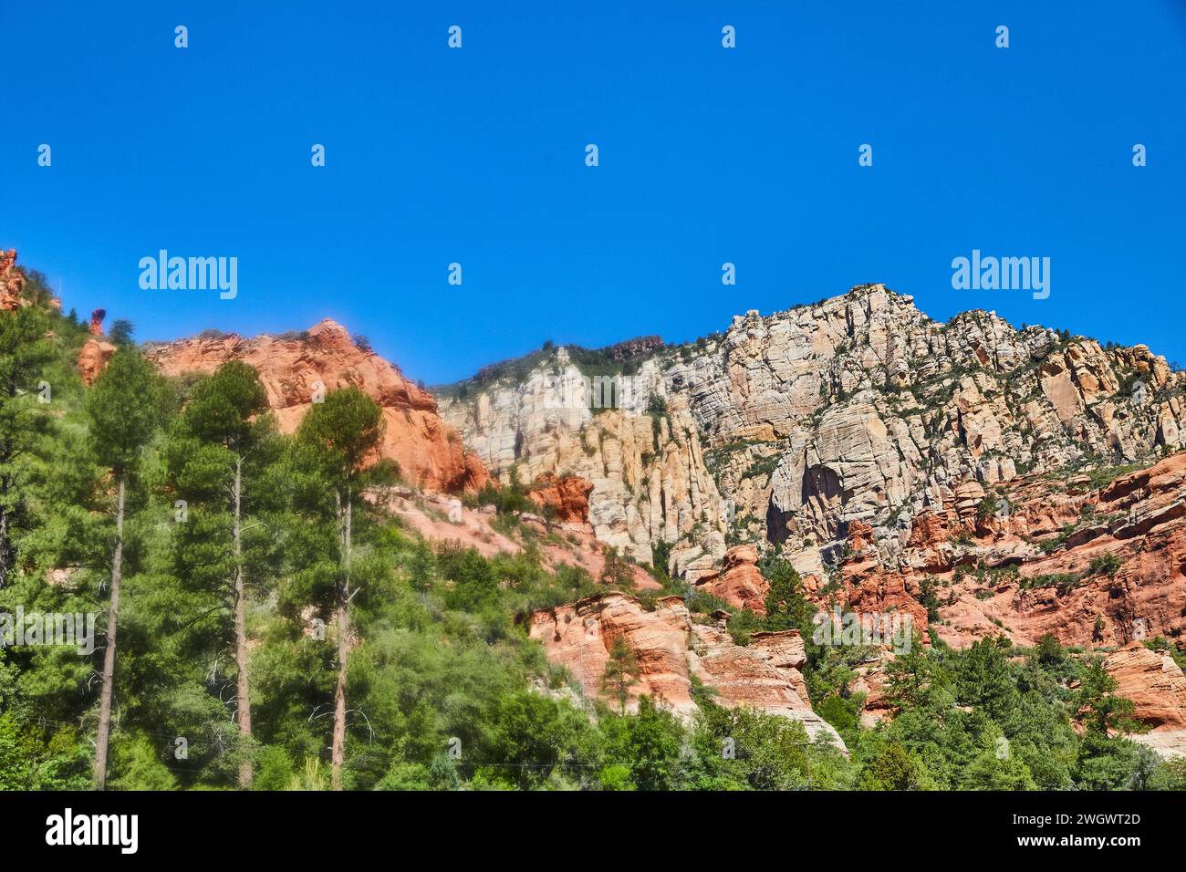 Sedona Red Rock Mountains with Pine Trees and Blue Sky Stock Photo - Alamy