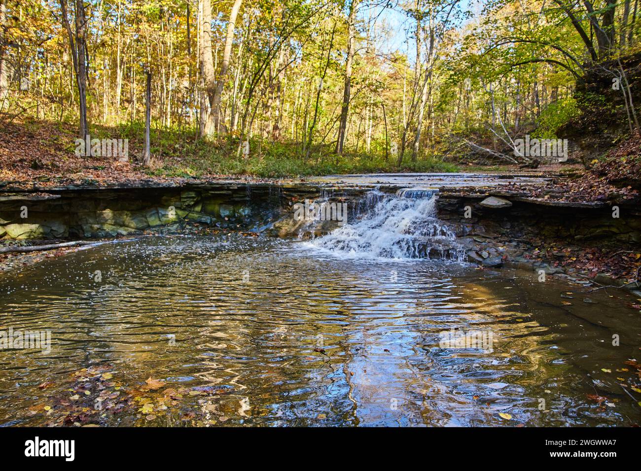 Autumn Waterfall in Woodland Serenity, Hathaway Preserve - Eye-Level ...