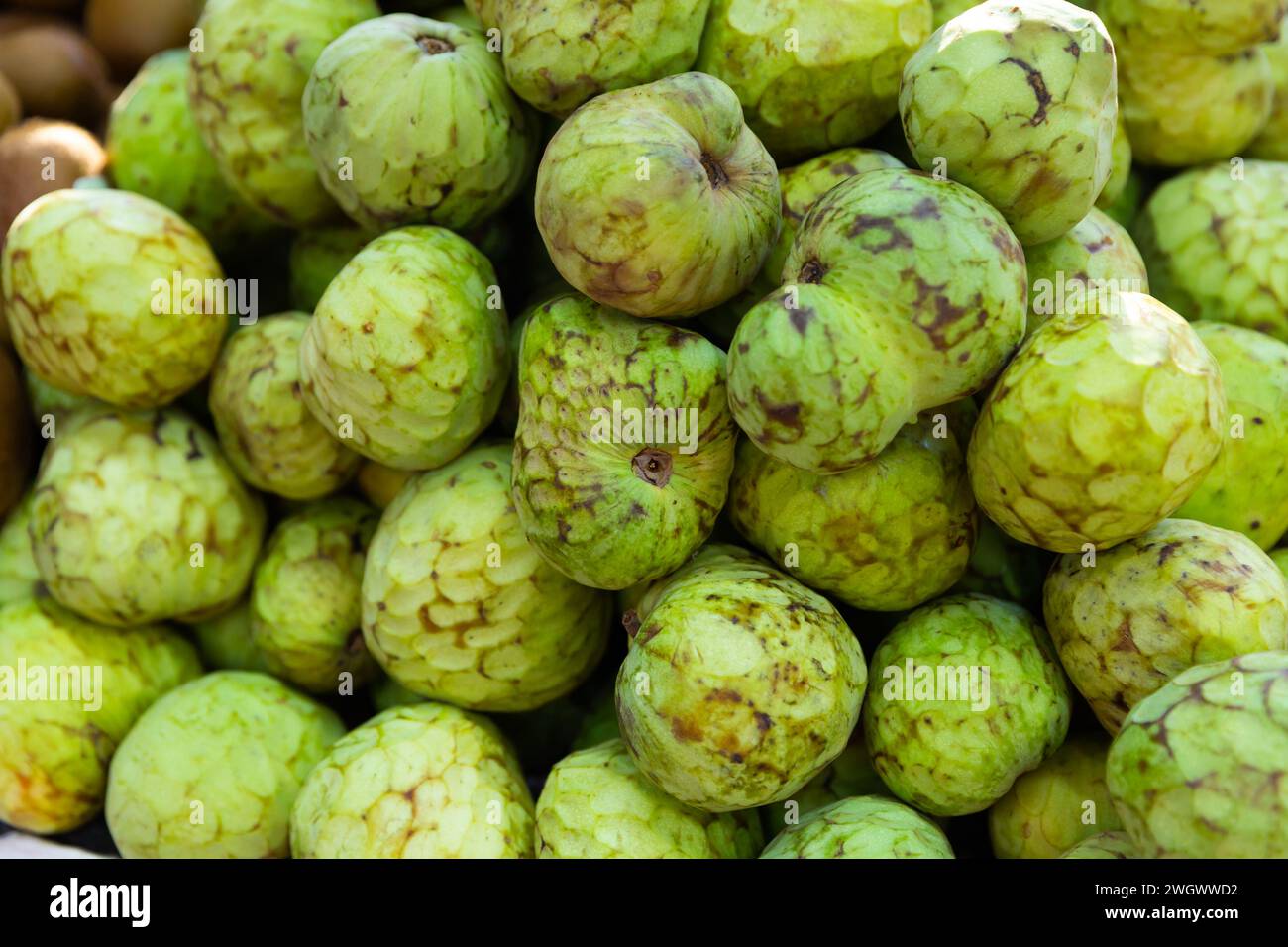 Fresh green custard apples hi-res stock photography and images - Alamy