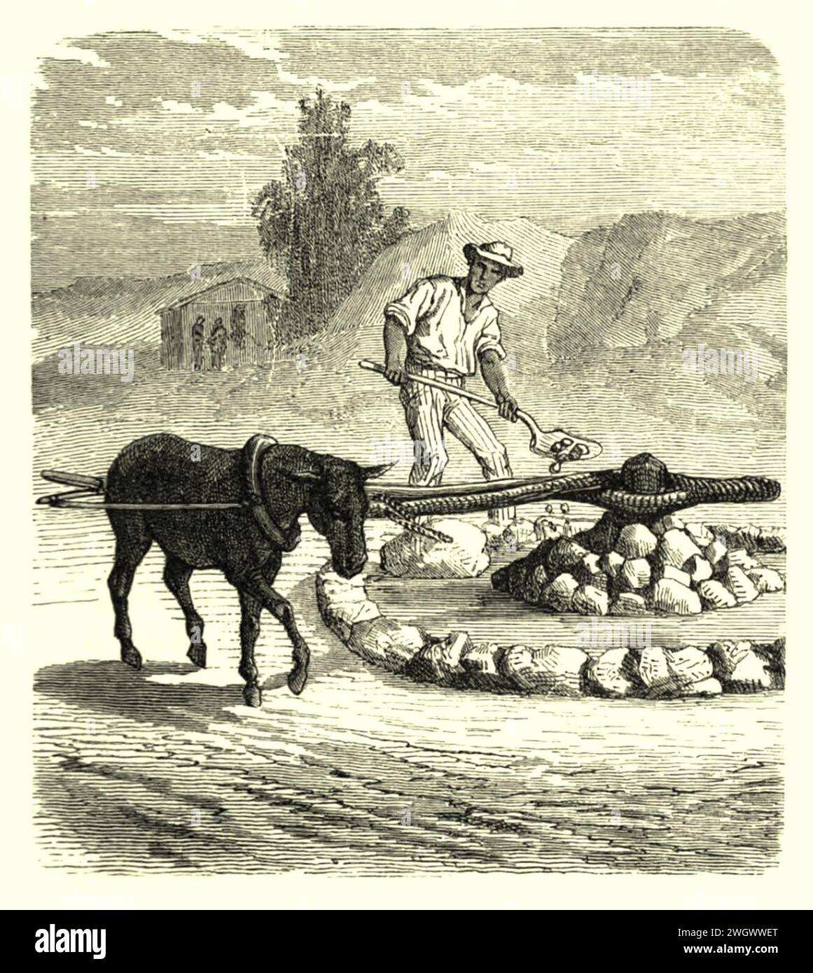 Simonin hi-res stock photography and images - Alamy