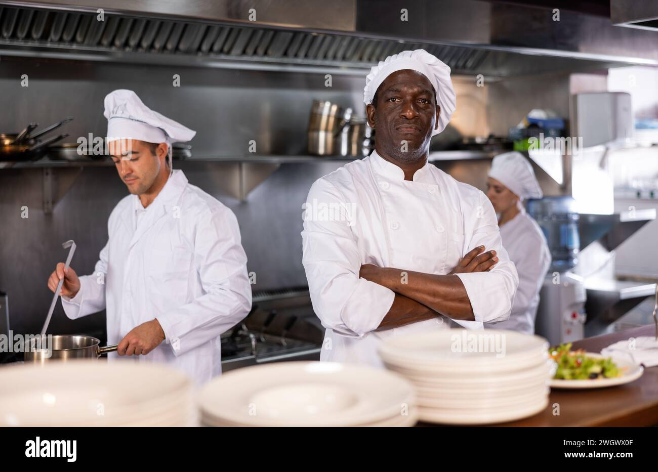 In modern kitchen experienced chef hi-res stock photography and images ...