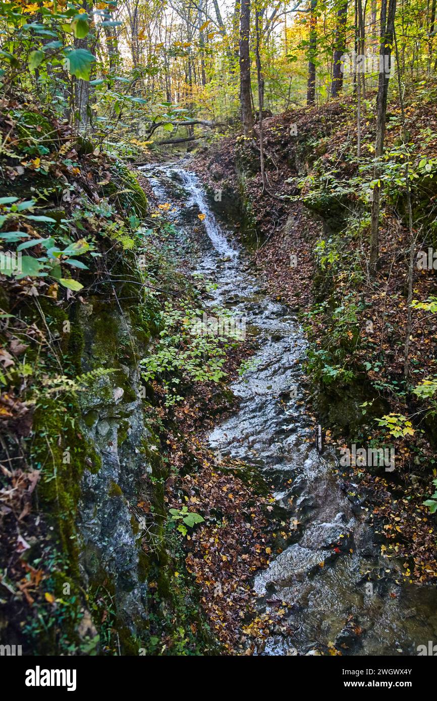 Salamonie river state forest hi-res stock photography and images - Alamy
