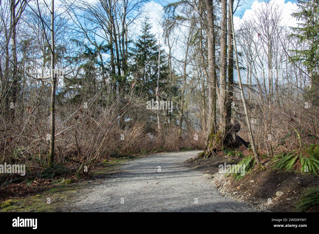 Image of nature park pedestrian path in Confederation Park, Burnaby, BC ...