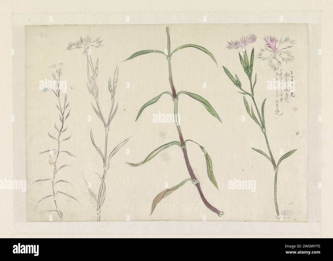 Sketch magazine with studies of a Wild Anjelier, Ishikawa Kazan, 1800 ...