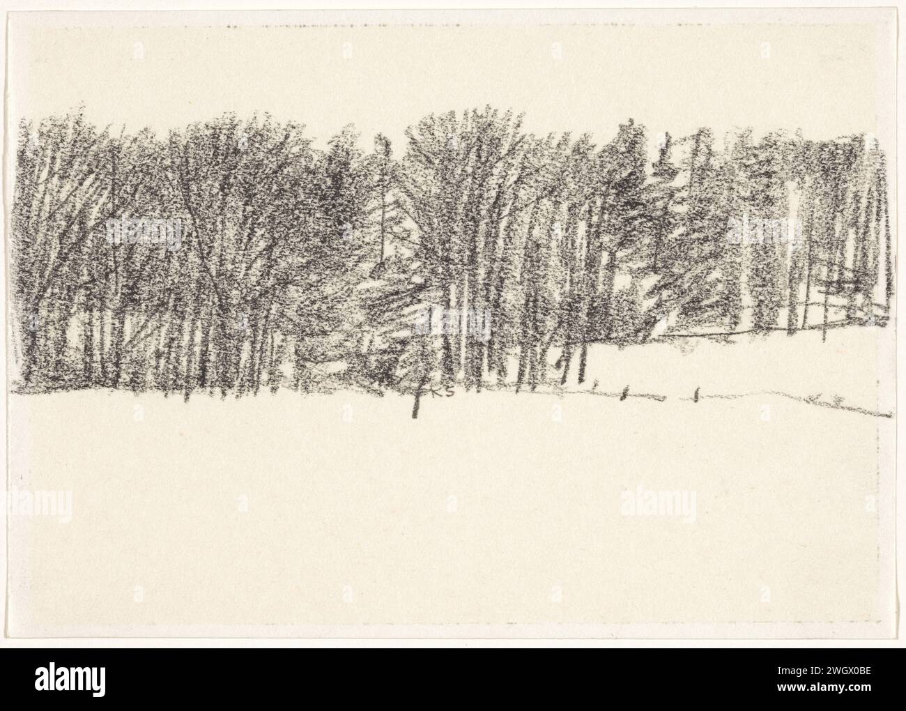 Bosrand, 1939 - 2009 drawing paper. fringe, edge of the wood Stock ...