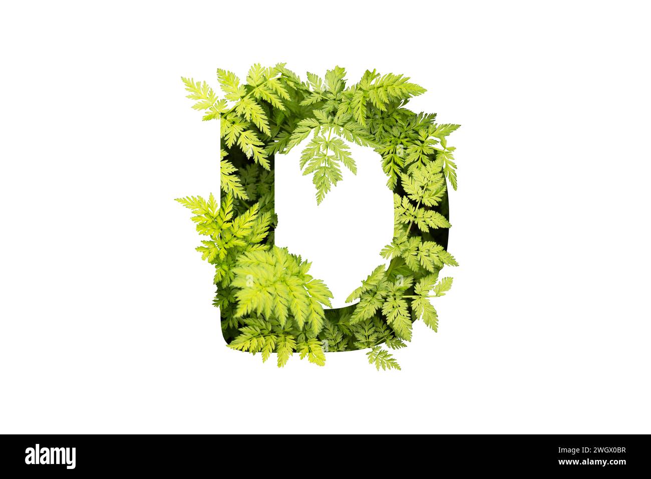 letter D made of grass and flowers , alphabet Stock Photo - Alamy