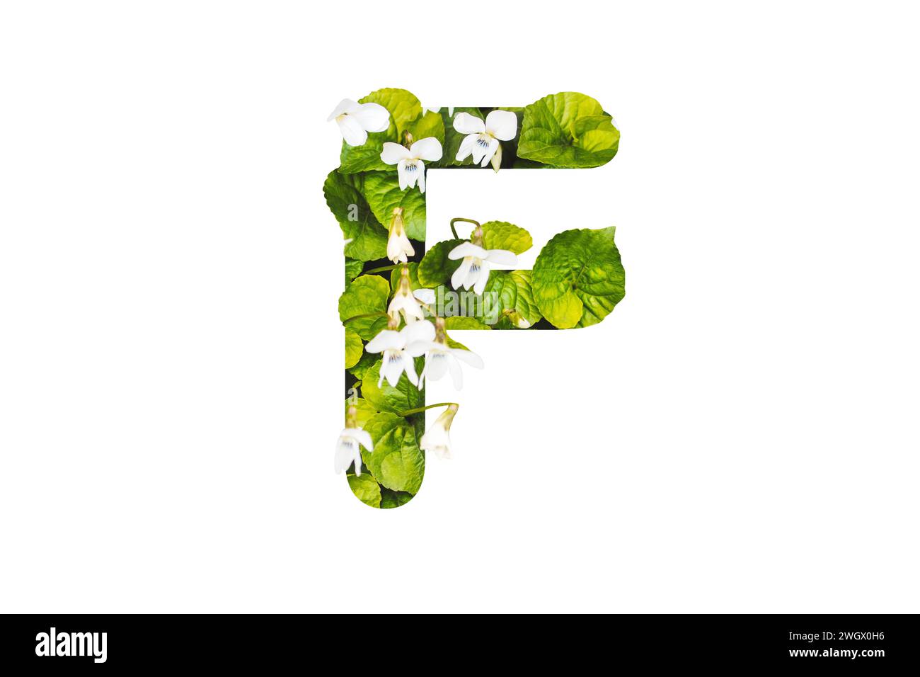 letter F made of grass and flowers , alphabet Stock Photo - Alamy