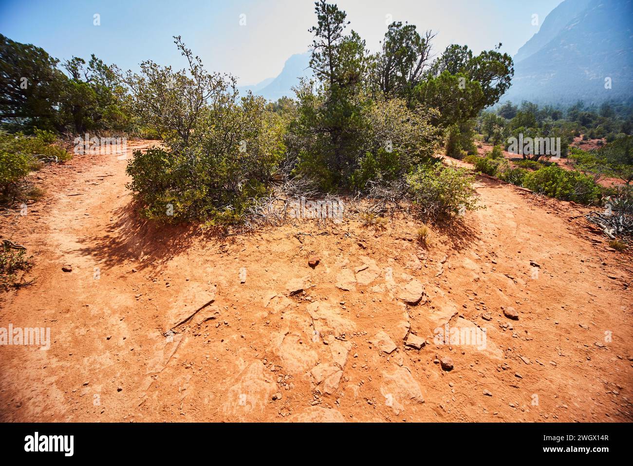 Red Desert Trail with Green Shrubs in Sedona, Eye-Level Perspective ...