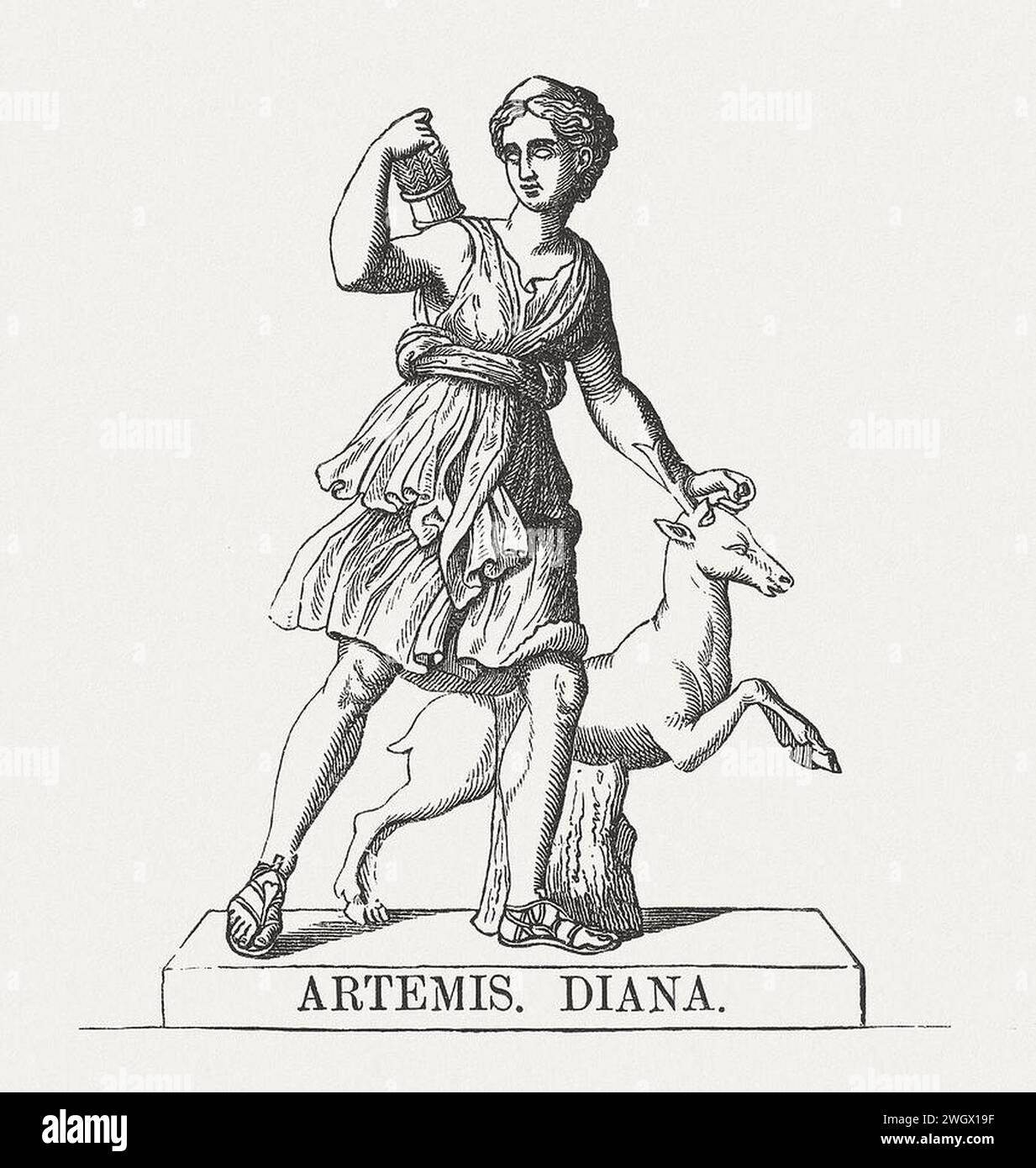 Artemis greek goddess hi-res stock photography and images - Alamy
