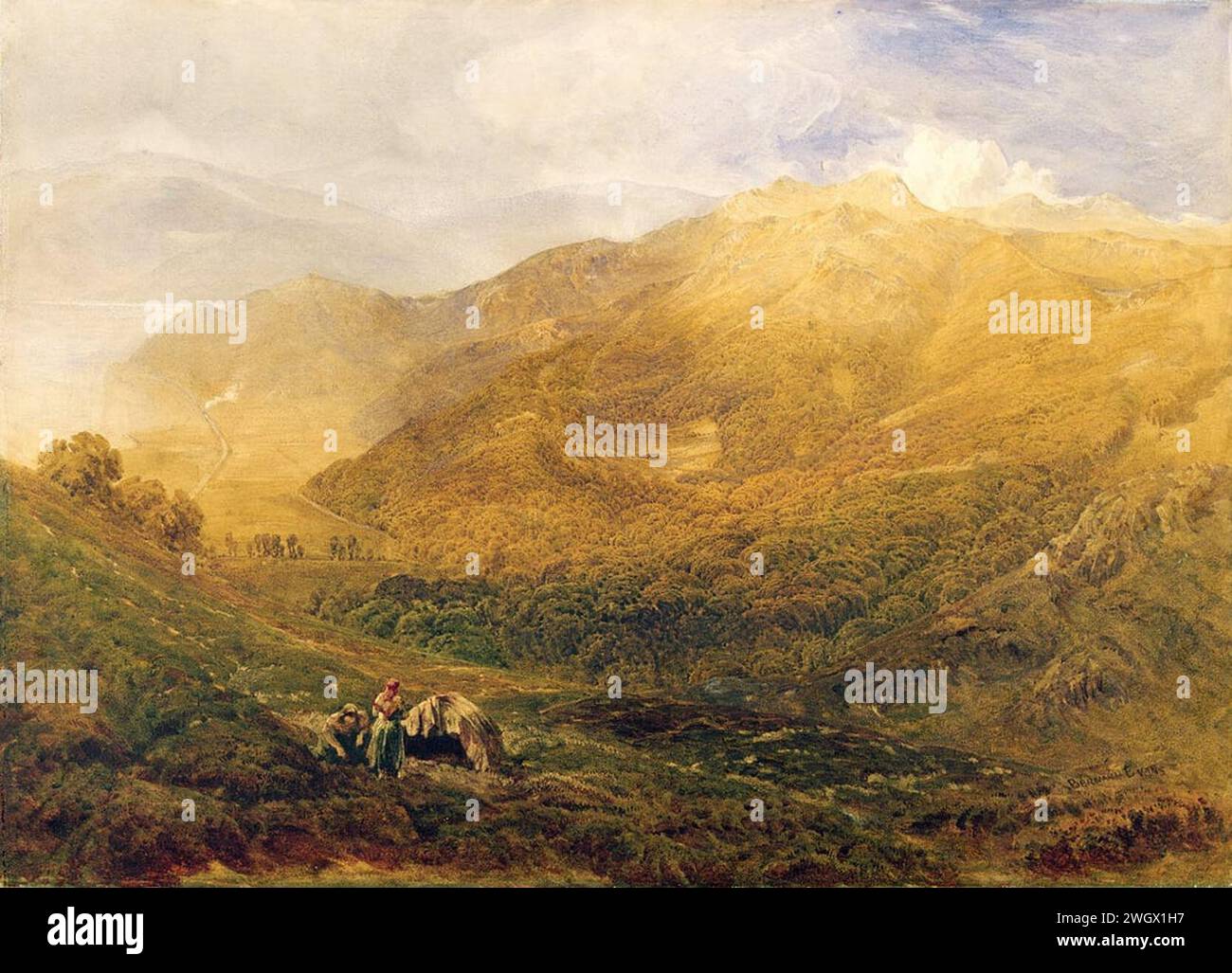Arthog hi-res stock photography and images - Alamy