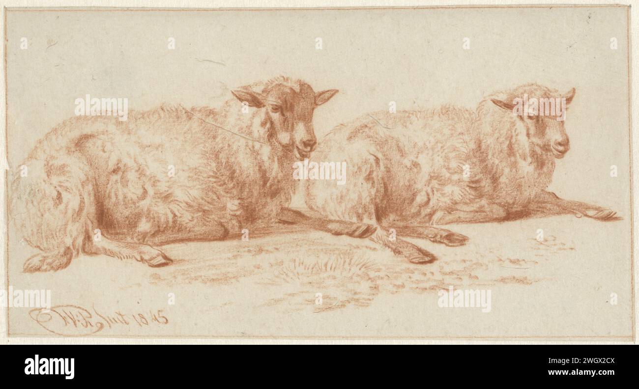 Study of two lying sheep, Jan van Ravenswaay, 1845 drawing paper. chalk ...