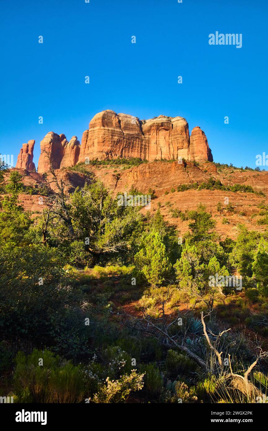 Majestic Sandstone Formation and Desert Flora in Sedona Stock Photo - Alamy