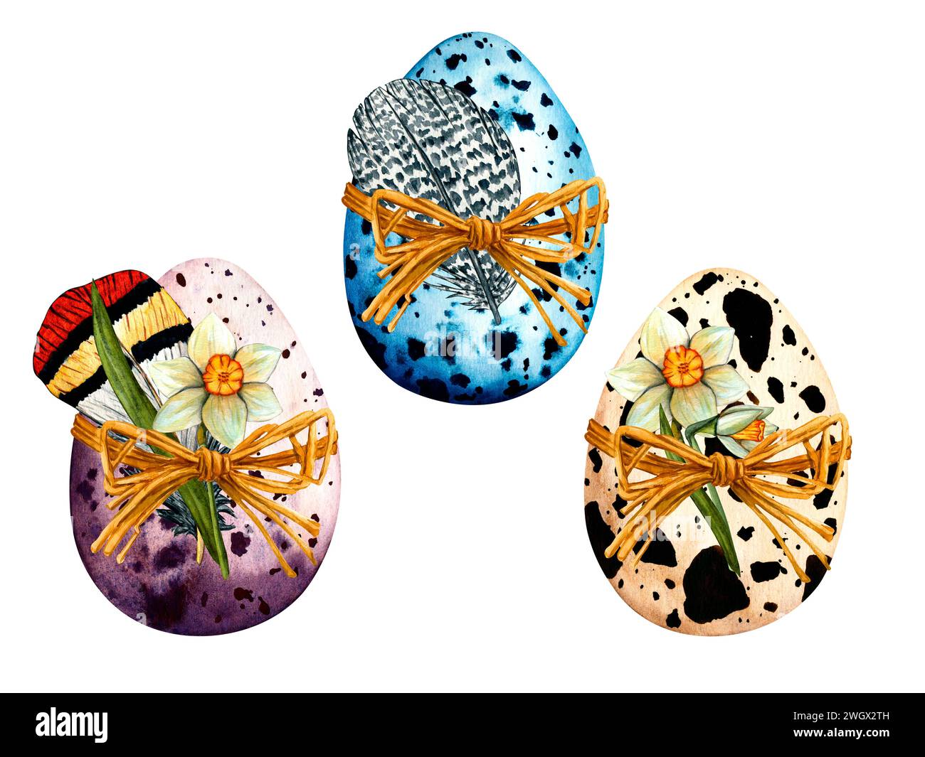 Watercolor spring easter illustration with flowers daffodil, willow ...