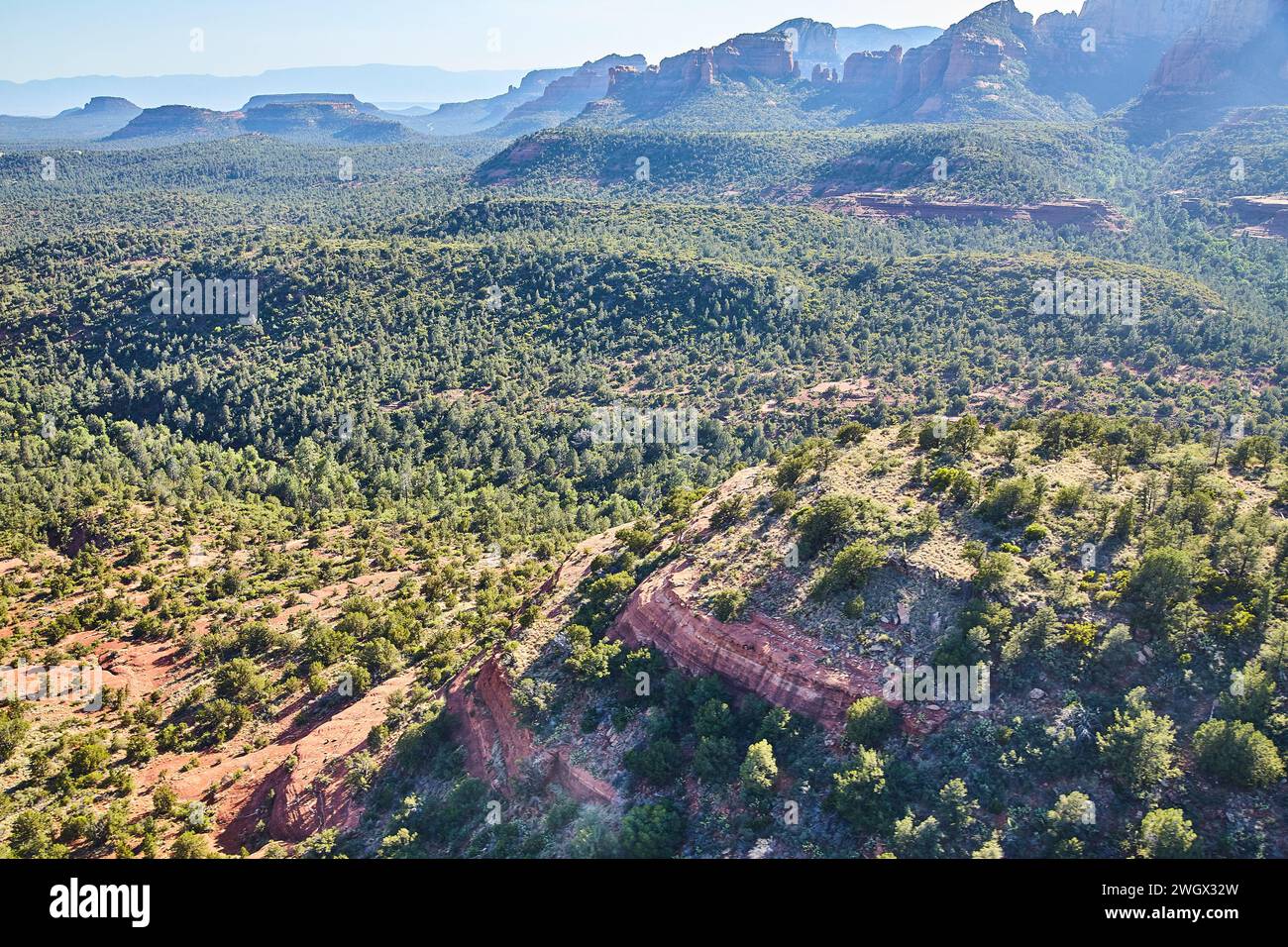 Aerial View of Red Rock Cliffs and Green Forest in Sedona Stock Photo ...