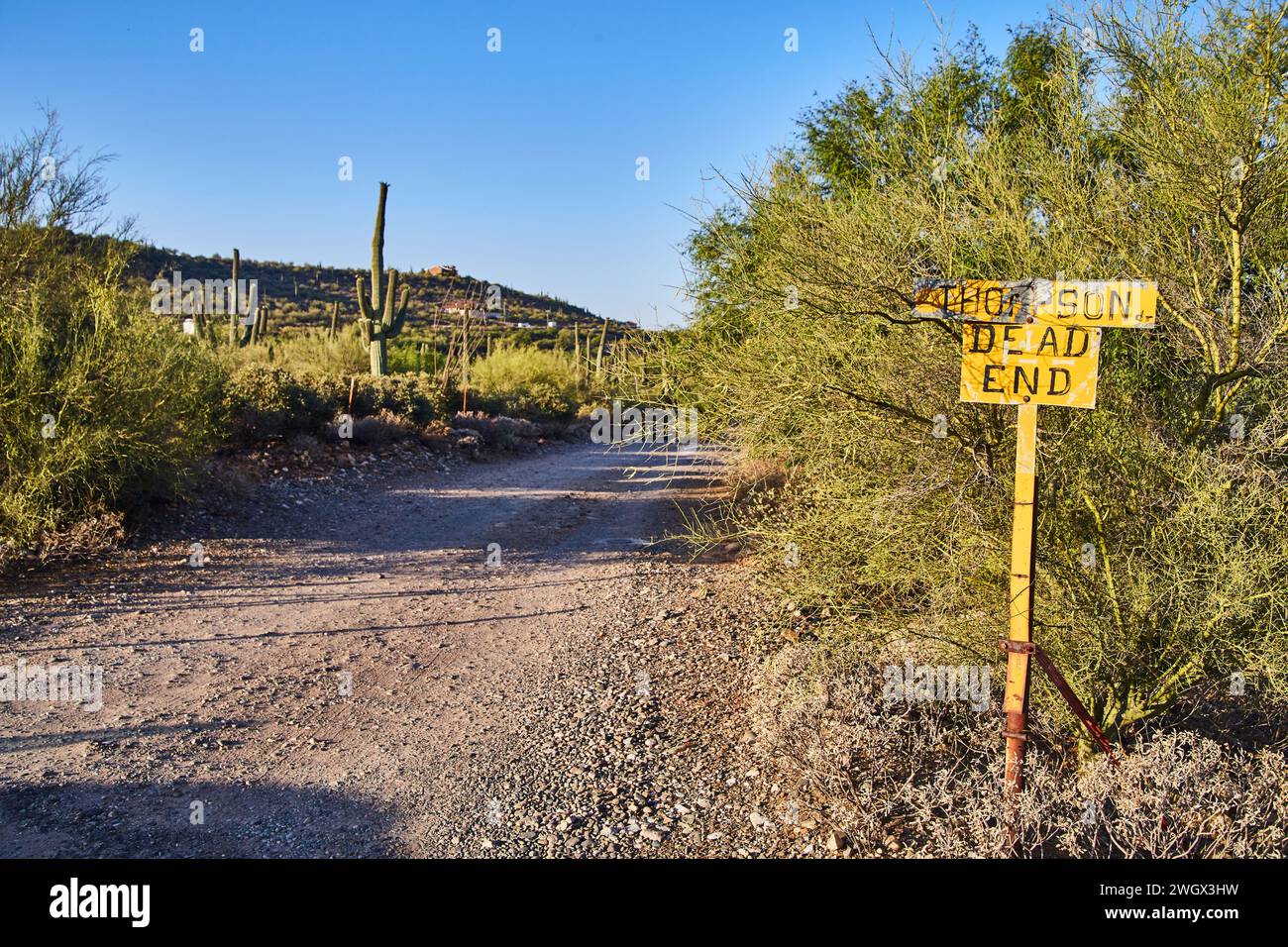 Desert Dead End Sign with Saguaro Cactus and Blue Sky - Arizona Stock ...
