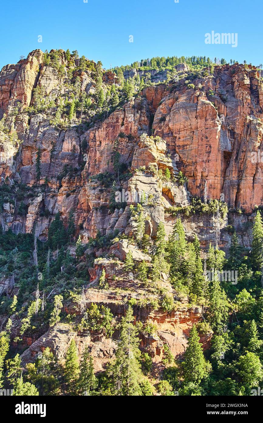 Aerial View of Sedona Red Rock Cliffs with Evergreens Stock Photo - Alamy