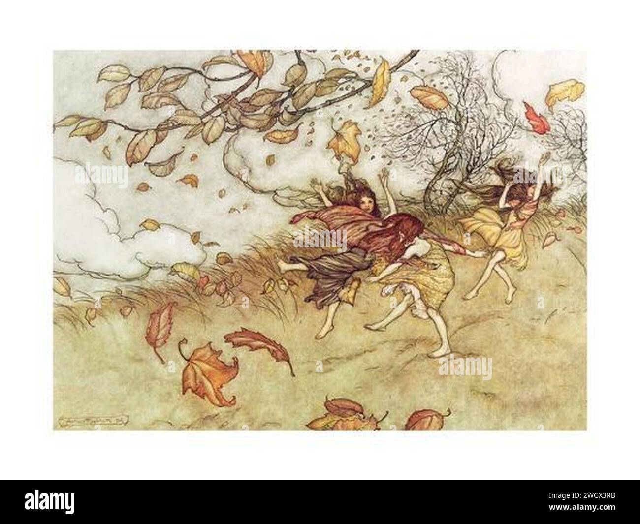 Rackman hi-res stock photography and images - Alamy