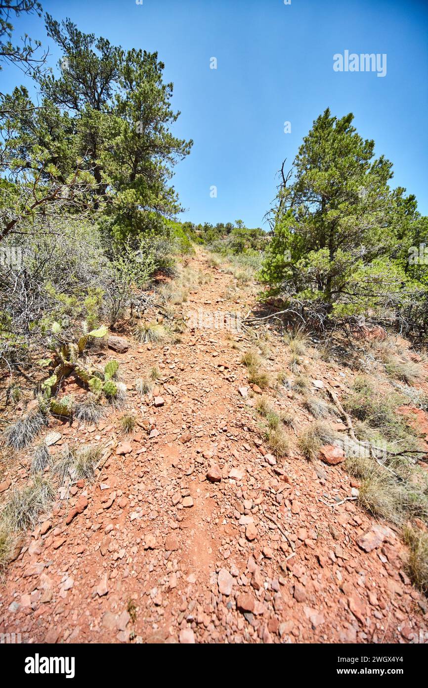 Sunny Desert Hiking Trail with Cacti in Sedona, Arizona Stock Photo - Alamy