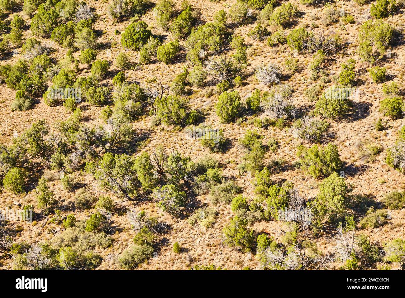 Aerial View of Sunlit Shrubland in Sedona, Arizona Stock Photo - Alamy