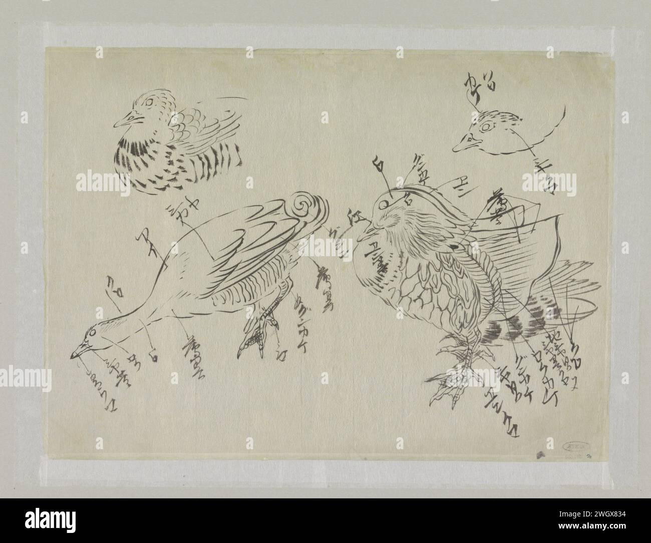 Sketch magazine with duck studies, Ishikawa Kazan, 1800 - 1900 drawing ...