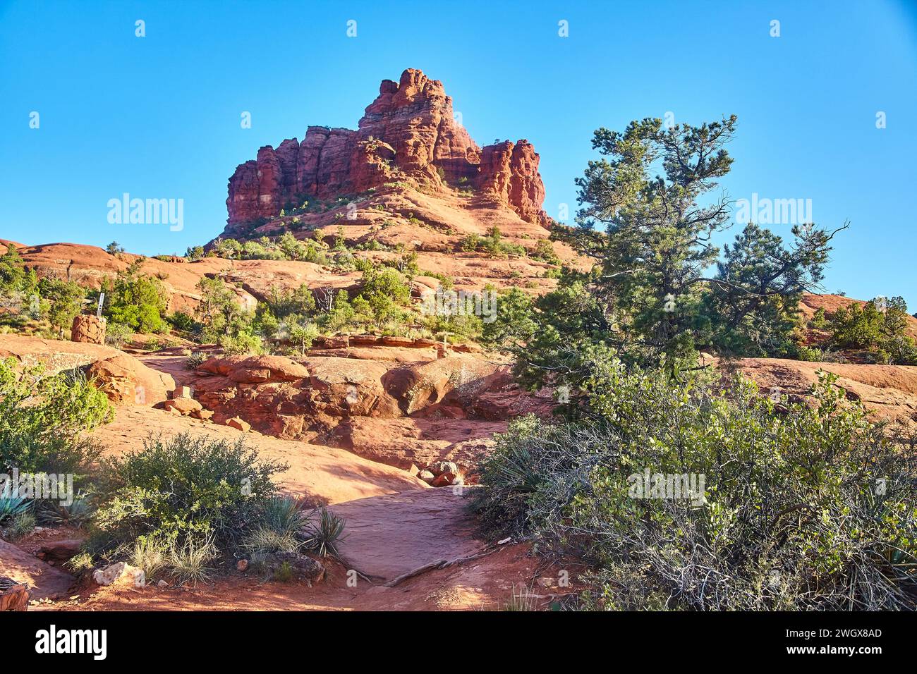 Red Sandstone Butte and Desert Flora in Sedona's Landscape Stock Photo ...