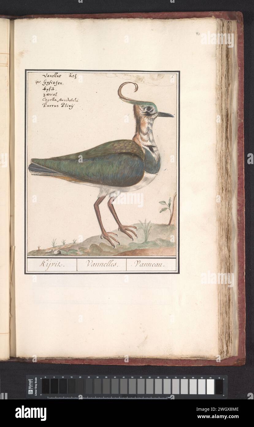 Non -fed scheme, Joseph van Huerne (Possible), 1809 - 1814 manuscript ...