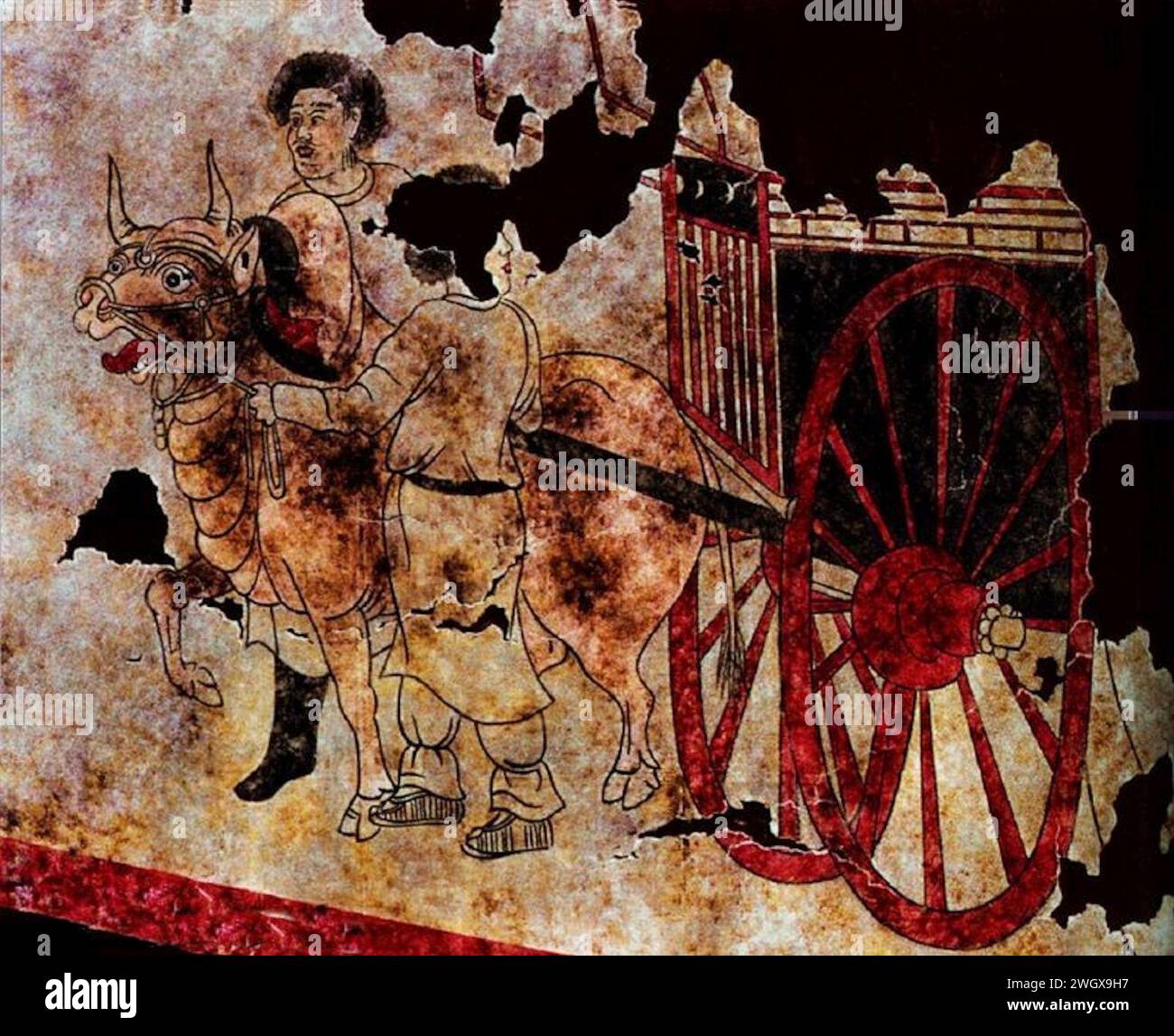 Ashina hi-res stock photography and images - Alamy