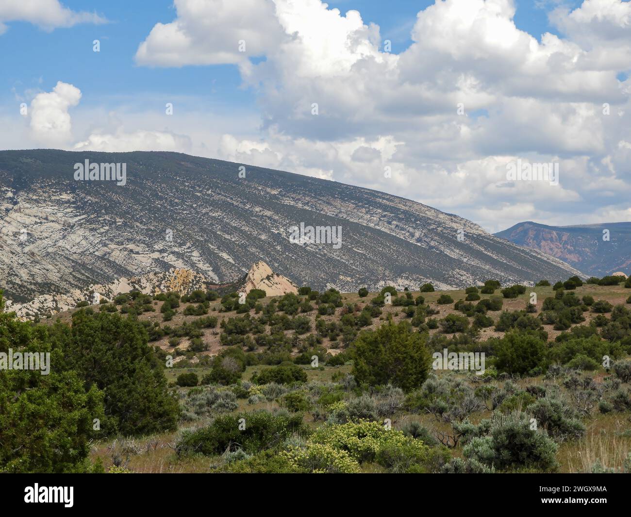 Green brush and trees on rolling hills hi-res stock photography and ...
