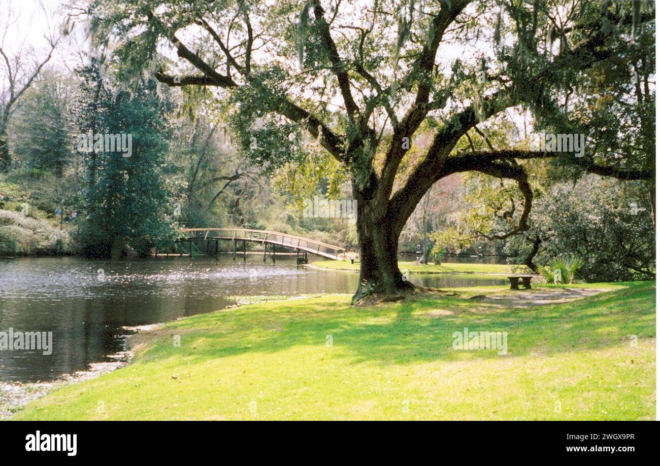 Ashley pond hi-res stock photography and images - Alamy
