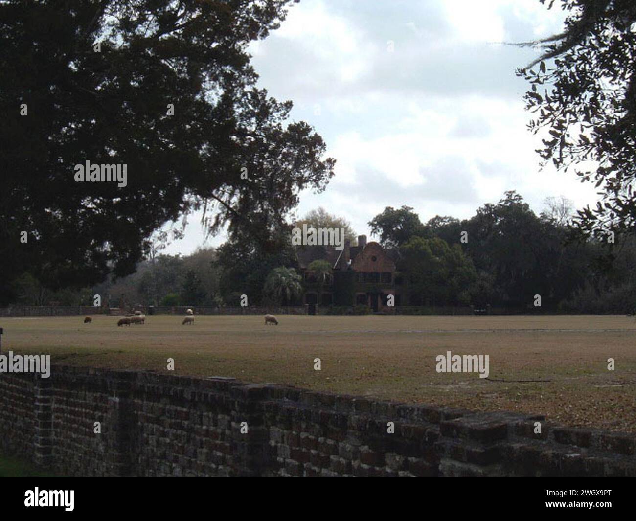 Ashley River Road - Distant View of Middleton Place Stock Photo - Alamy