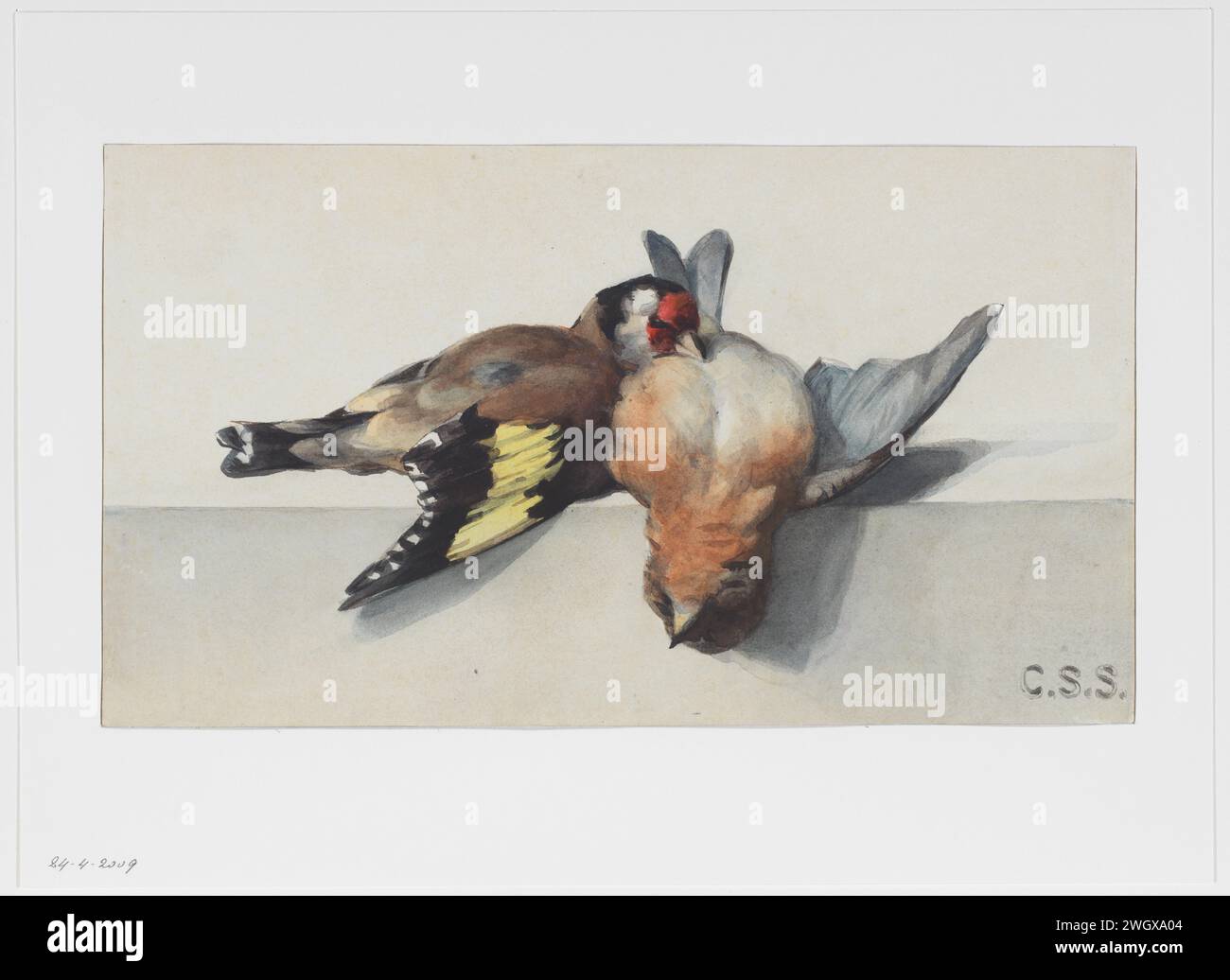 Still life with two dead birds, Cornelis Samuel Stortenbeker, 1848 ...