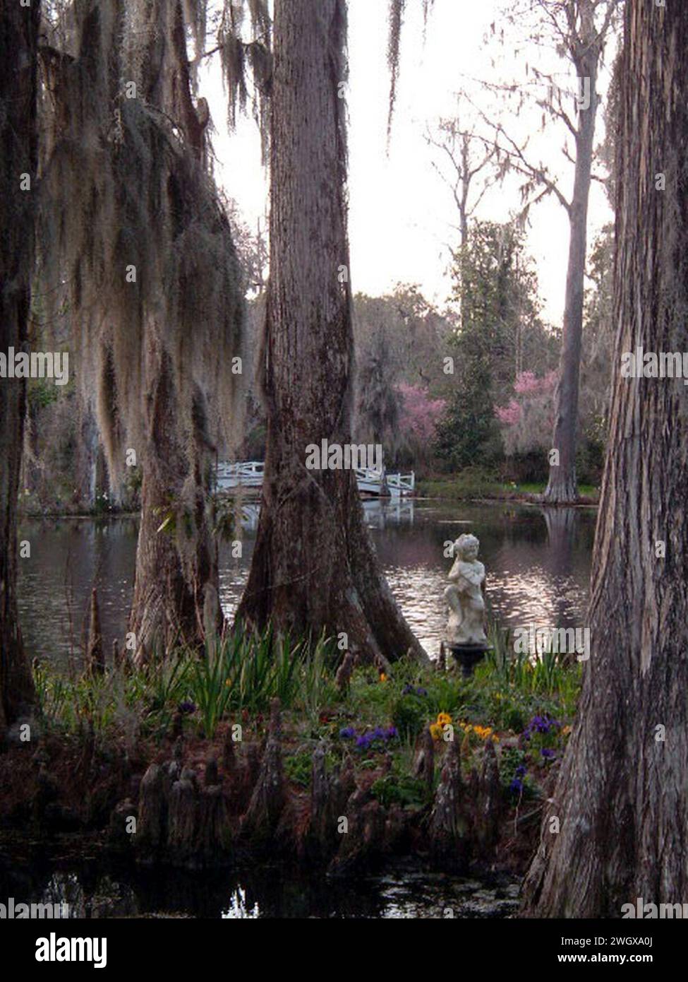 Ashley River Road - Islands of Color in Magnolia Gardens Stock Photo ...