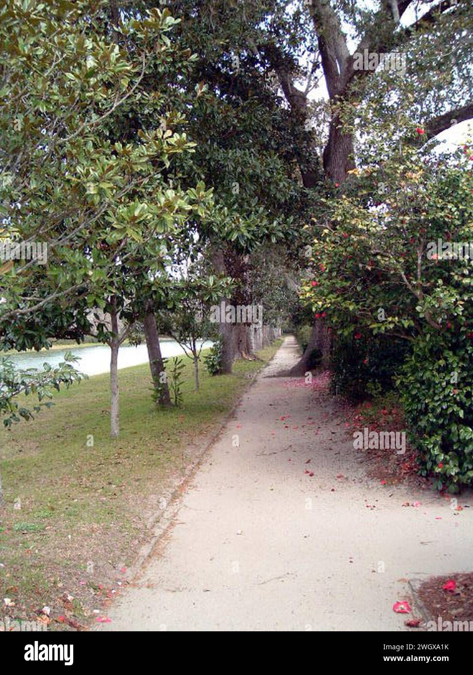 Ashley River Road - Path Across from the Reflection Pool Stock Photo ...