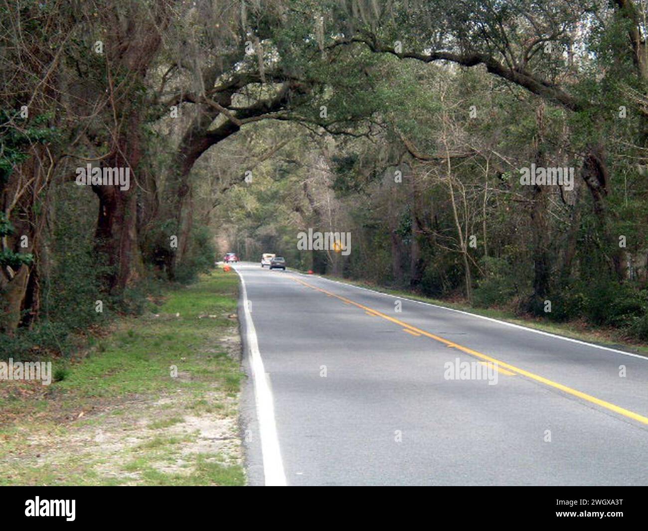 Ashley River Road - The Ashley River Road Stock Photo - Alamy