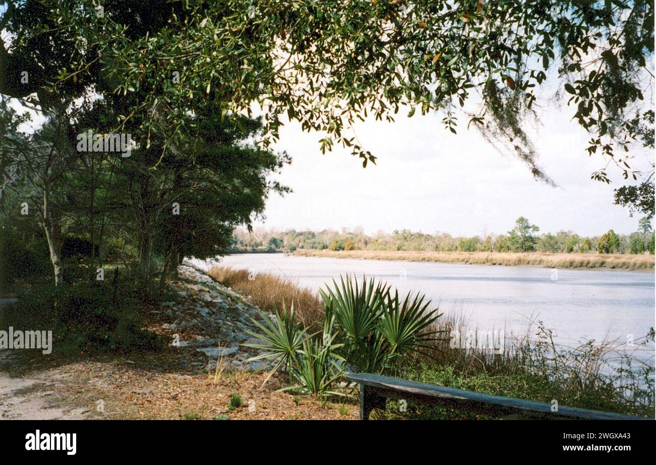 Ashley River Road - The Ashley River at Drayton Hall Stock Photo - Alamy