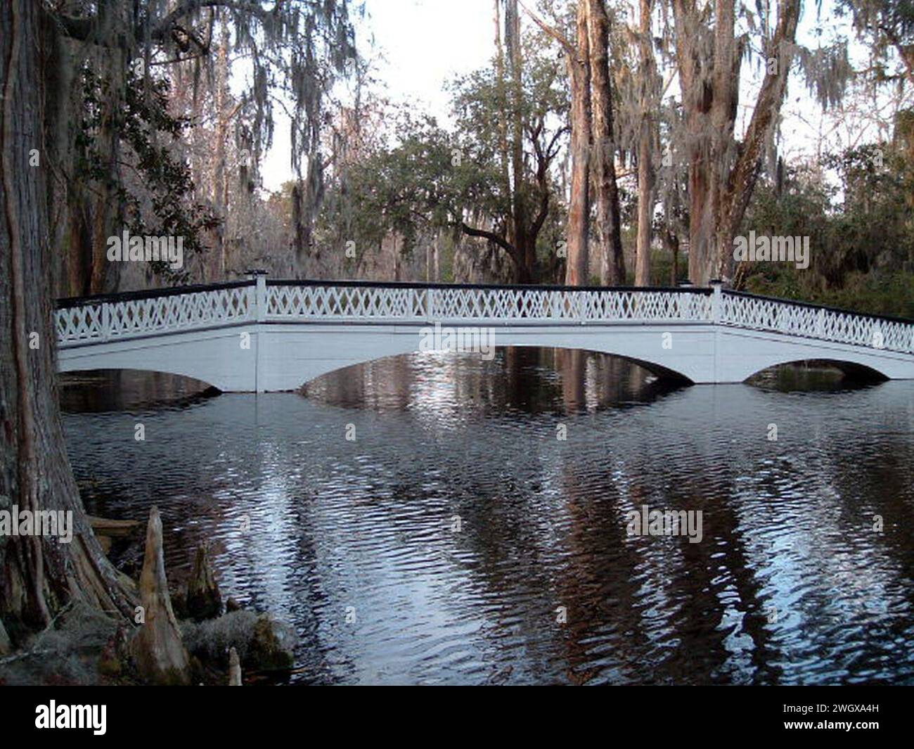 Ashley River Road - The Long White Bridge at Magnolia Gardens Stock ...