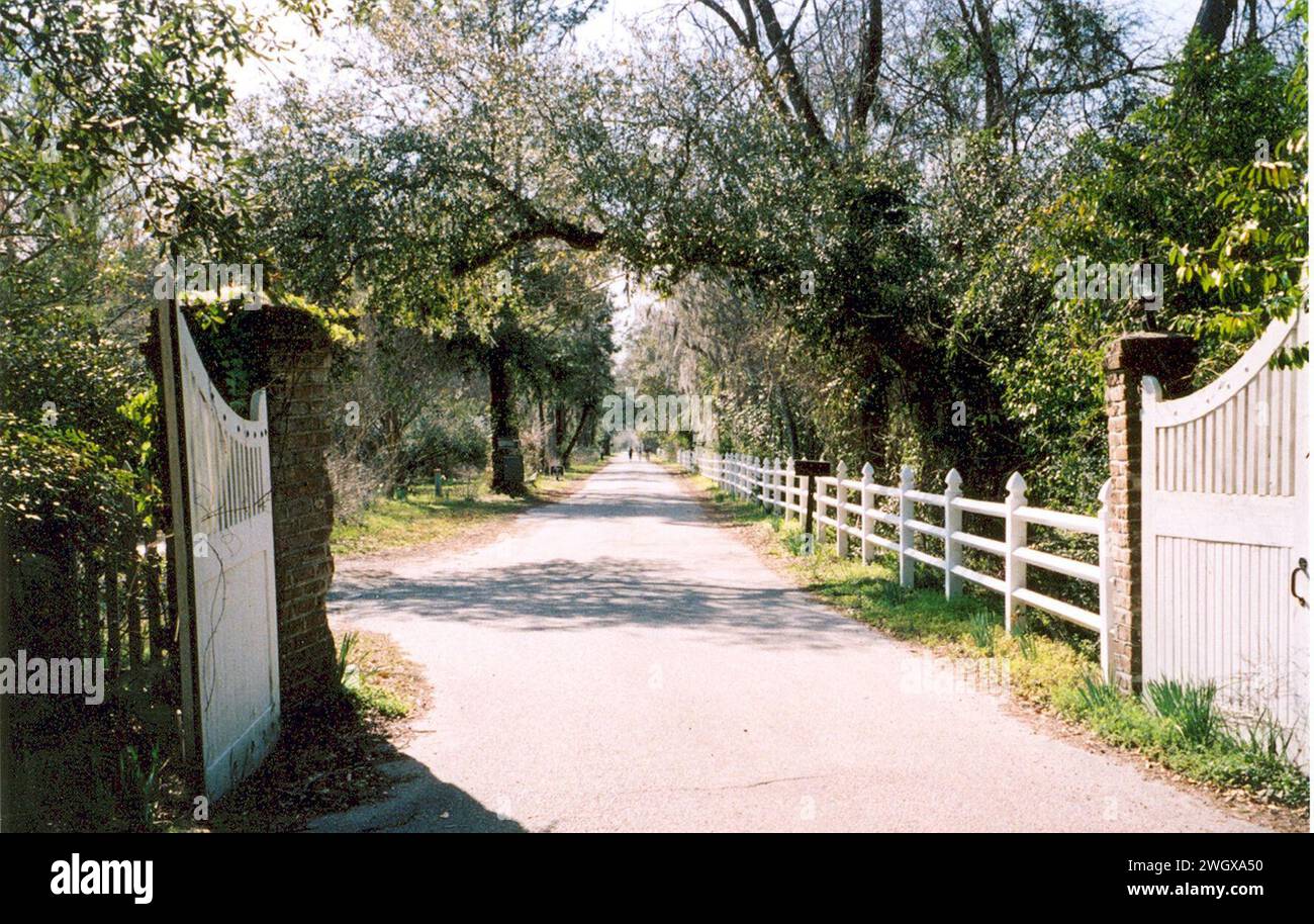 Ashley plantation hi-res stock photography and images - Alamy