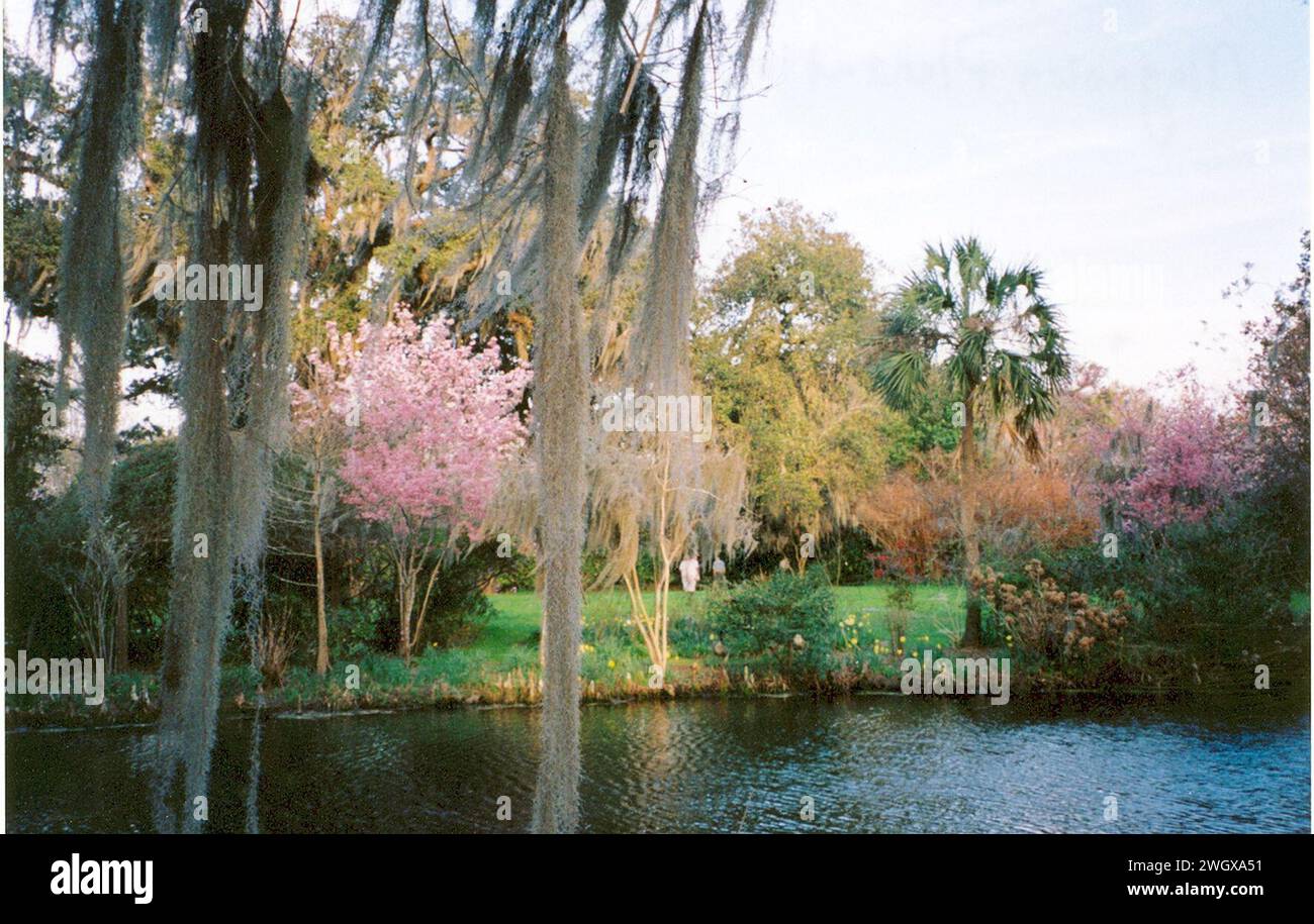 Magnolia plantation historical hi-res stock photography and images - Alamy
