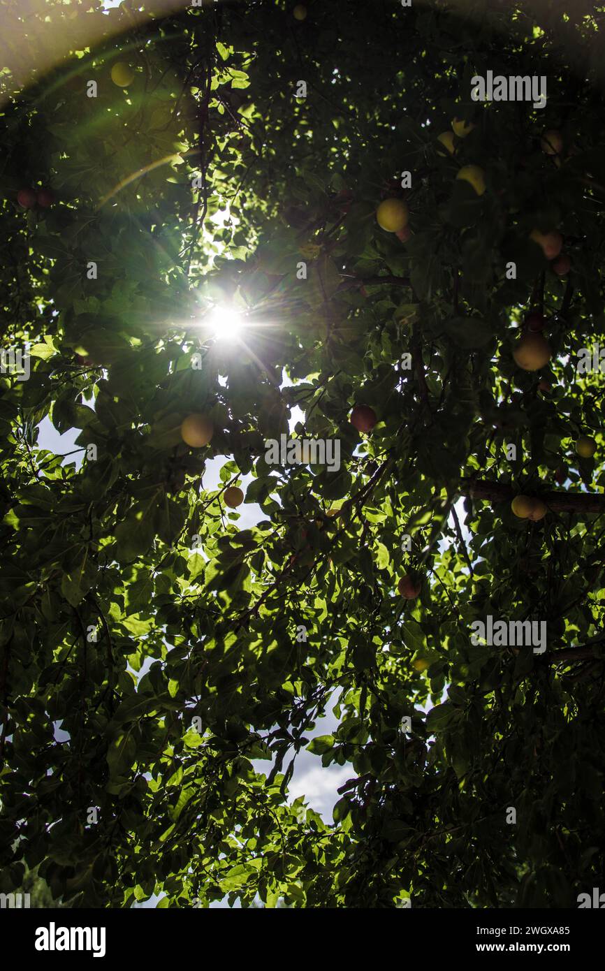 Light ray lightray ray of light hi-res stock photography and images - Alamy