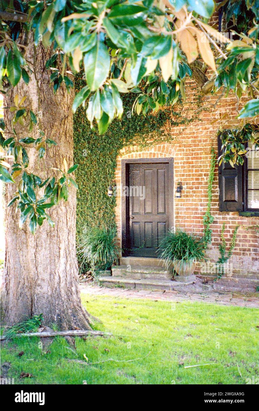 Ashley River Road - The Side of the Plantation Home Stock Photo - Alamy