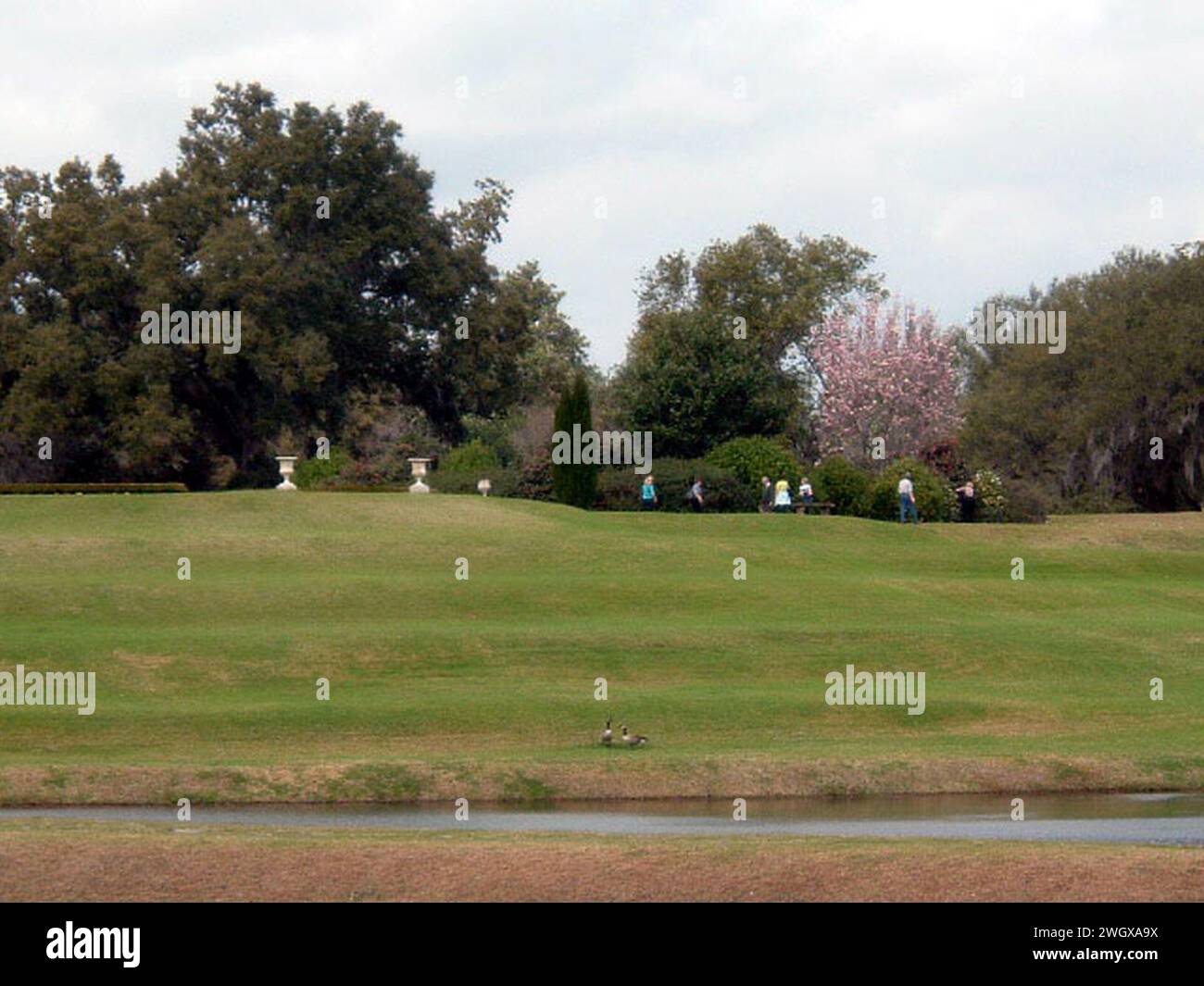 Ashley River Road - Touring the Grounds of Middleton Place Stock Photo ...